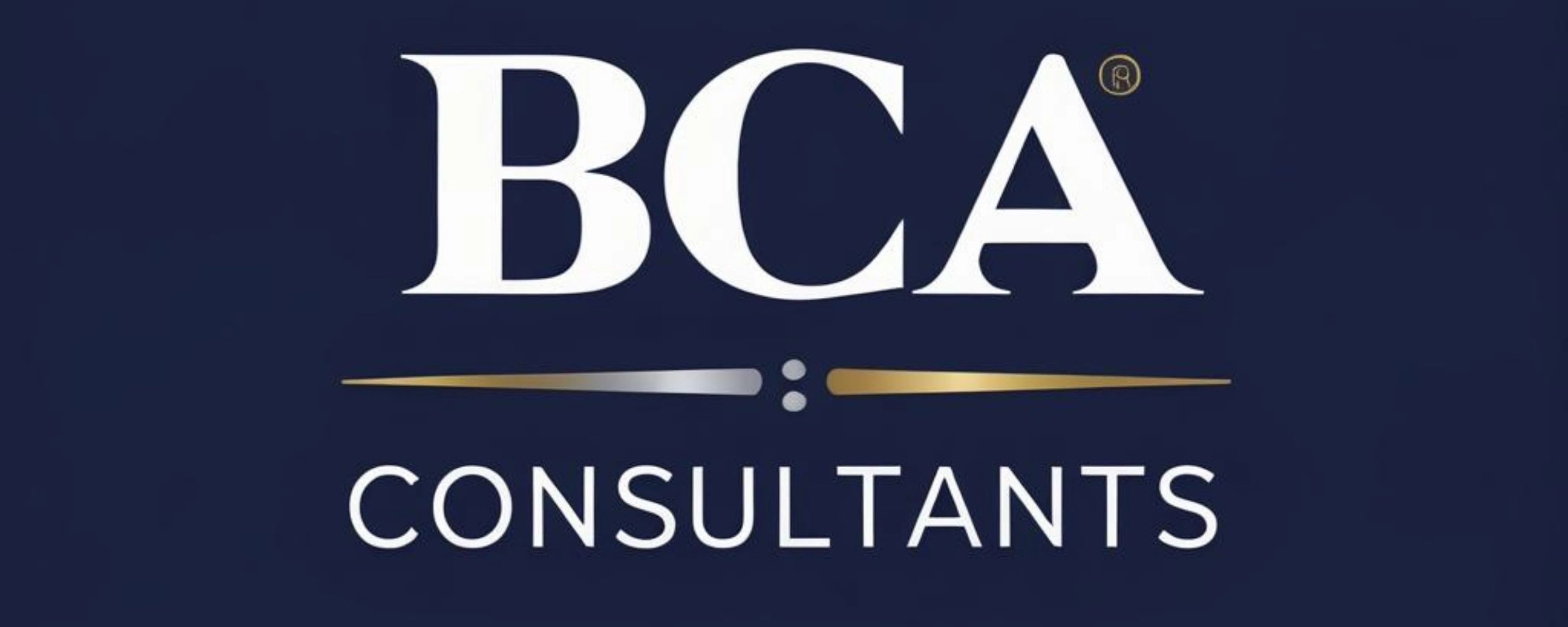 BCA Consultants